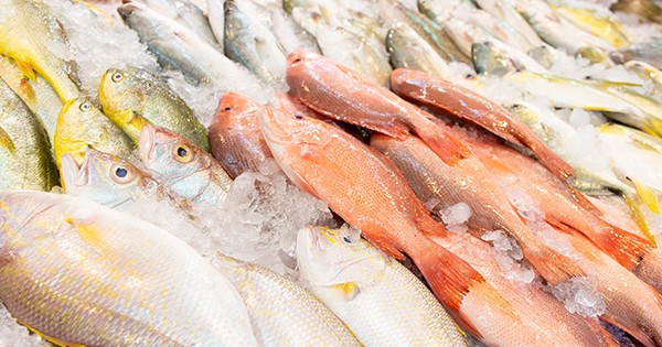 Do you know your fishes?