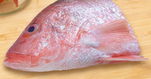 Red Snapper Head