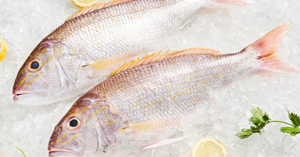 Promotion Seabream