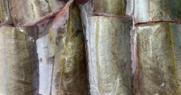 Promotion Frozen Smelt