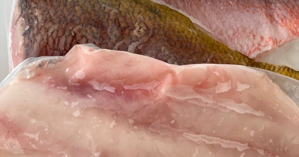 Promotion Frozen Yellow-Tail Fillet