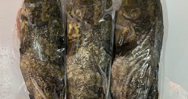 Frozen Pearl Grouper