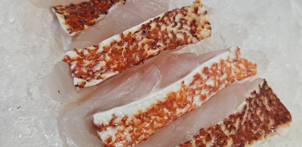 Red Grouper Fillet (Sliced)