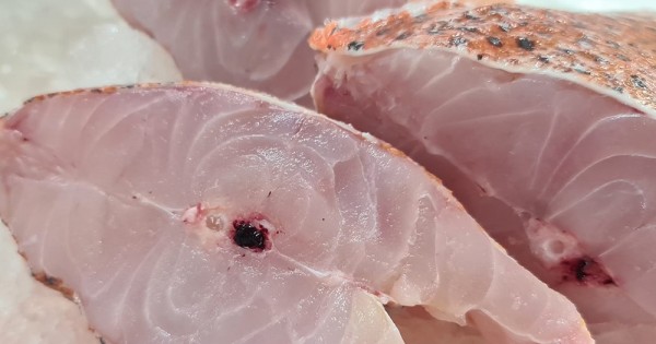 Promotion Seven Star Grouper Meat