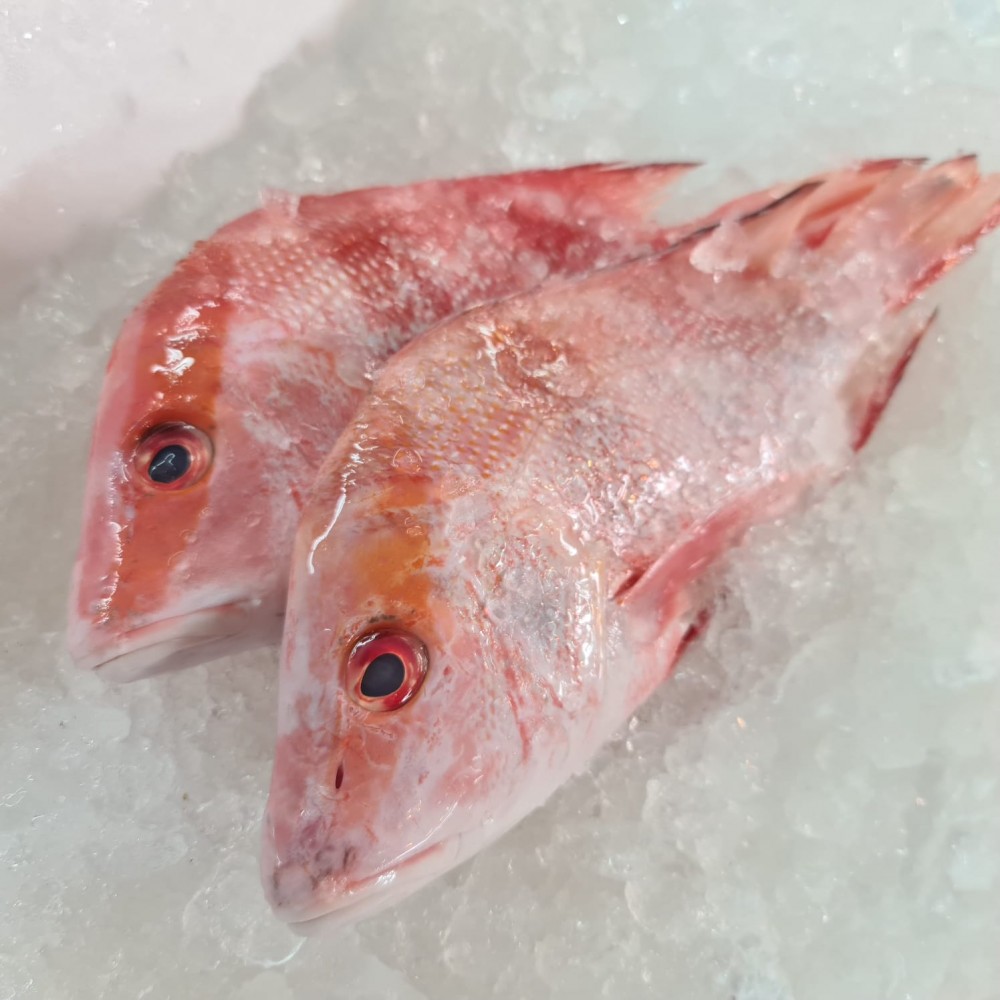 Promotion Small Emperor Red Snapper
