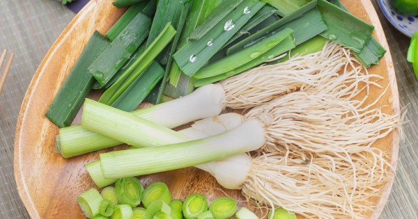 Chinese Leek