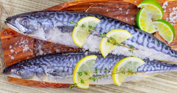 Promotion Frozen Saba Whole