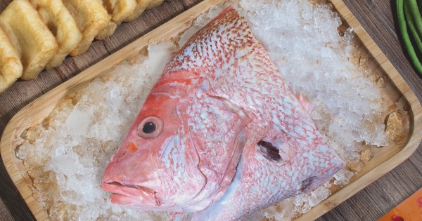 Curry Red Snapper Fish Head Bundle