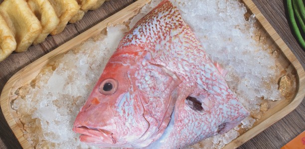 Curry Red Snapper Fish Head Bundle