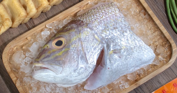 Curry Red Snapper Fish Head Bundle